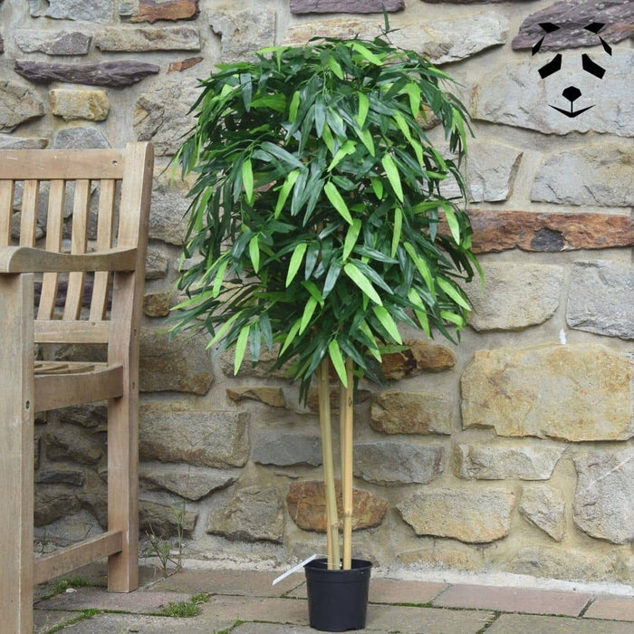 Produits – Pandam